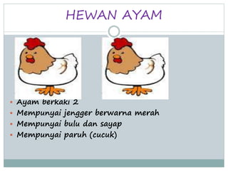 Pengenalan hewan dari Idayu Retnani | PPTX
