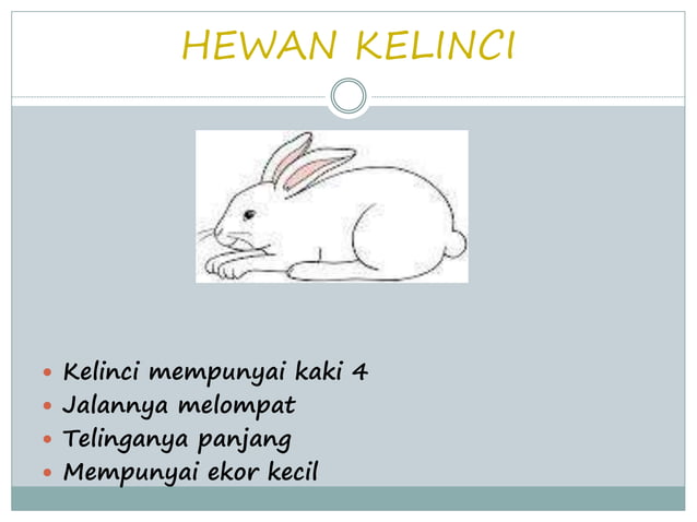 Pengenalan hewan dari Idayu Retnani | PPTX