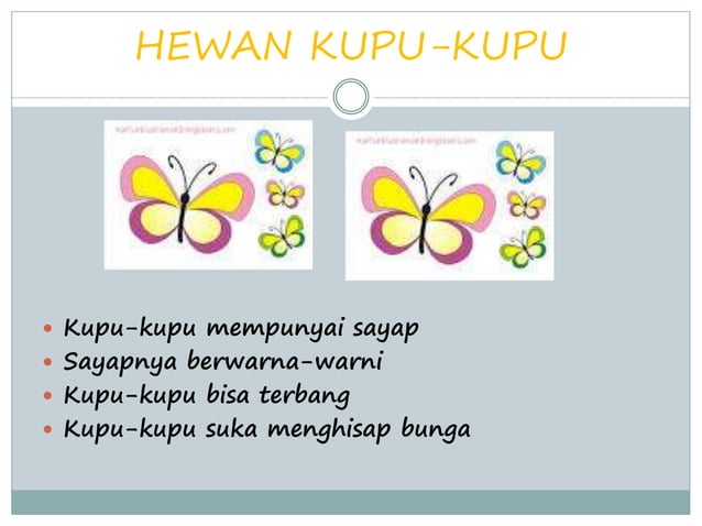 Pengenalan hewan dari Idayu Retnani | PPTX