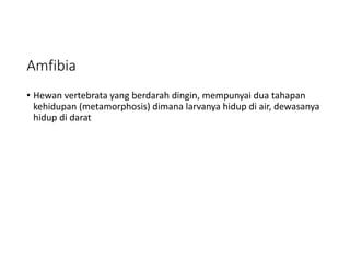 Pengenalan hewan amfibia | PPT