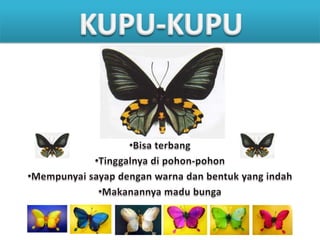 PENGENALAN HEWAN | PPTX