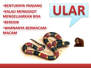 PENGENALAN HEWAN | PPTX