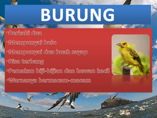 PENGENALAN HEWAN | PPTX