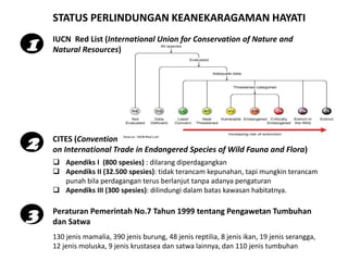 Pengenalan Flora Fauna Endemik Sumatera | PDF