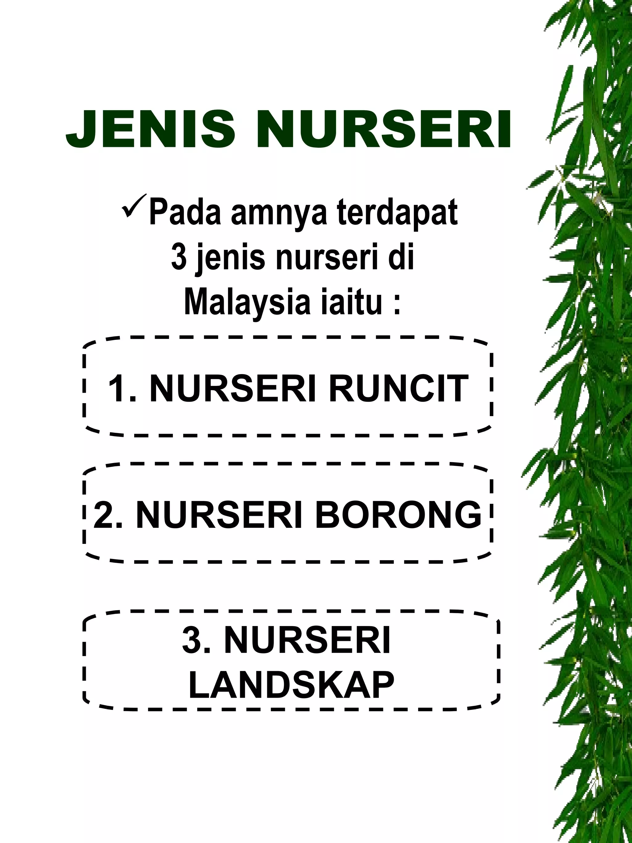 Pengenalan kepada nurseri | PPT