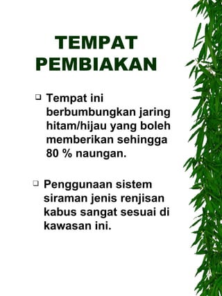 Pengenalan kepada nurseri | PPT
