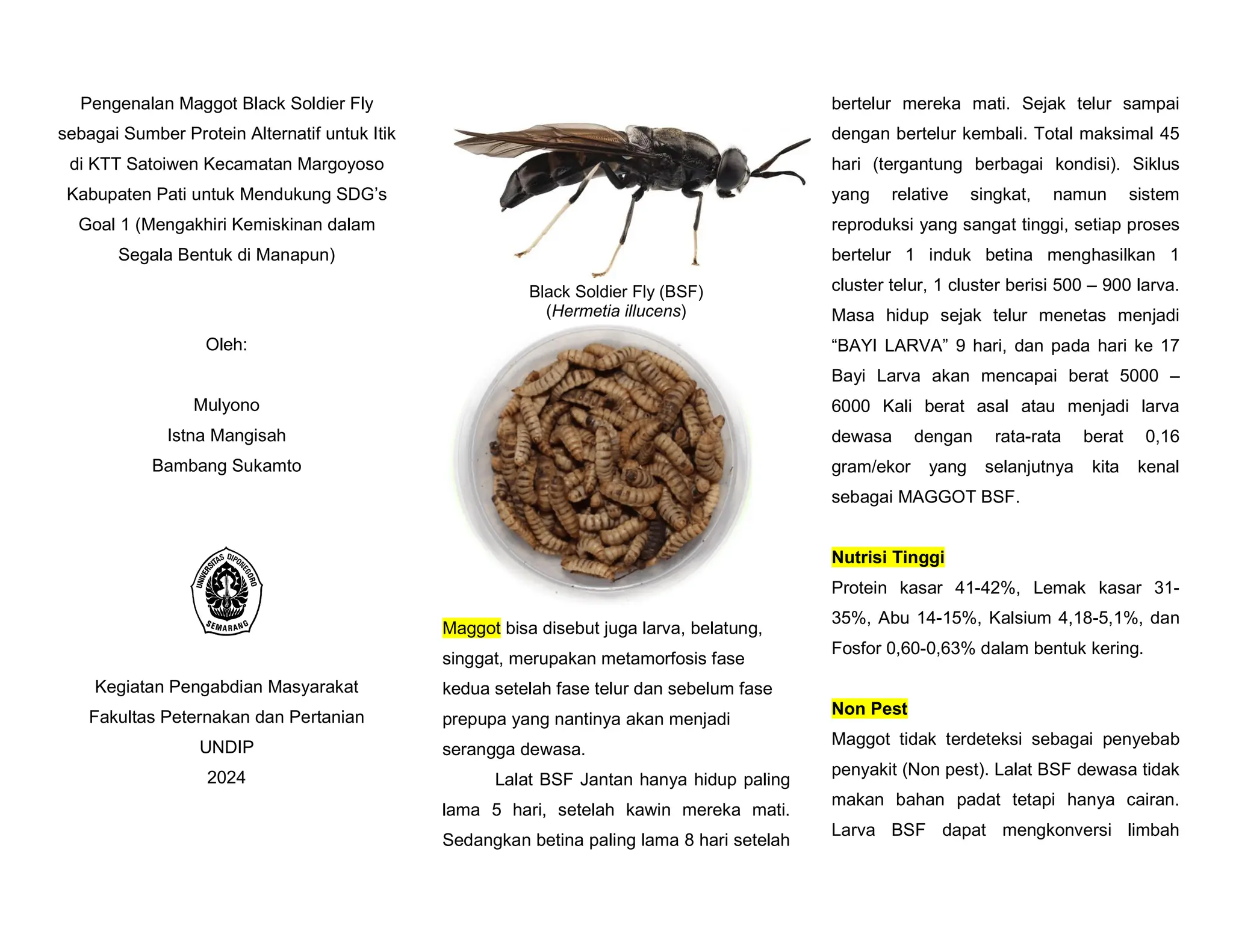 Pengenalan Maggot Black Soldier Fly sebagai Sumber Protein Alternatif ...
