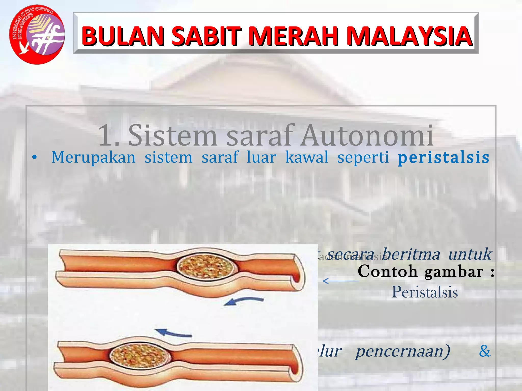 Pengenalan organ penting | PPT