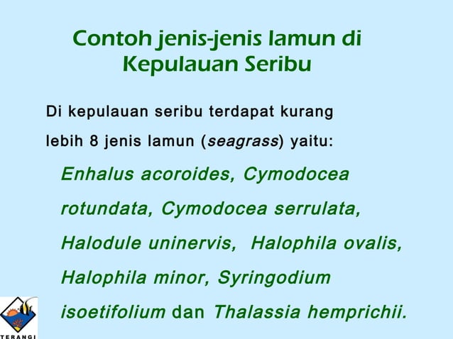 Pengenalan padang lamun | PPT