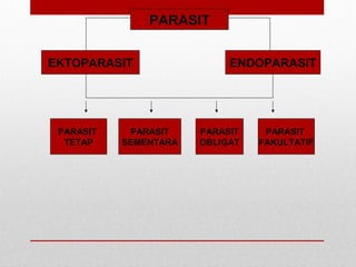 Pengenalan parasitologi | PPT