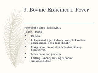 Pengenalan dan Pencegahan Berbagai Penyakit pada Sapi Potong untuk ...