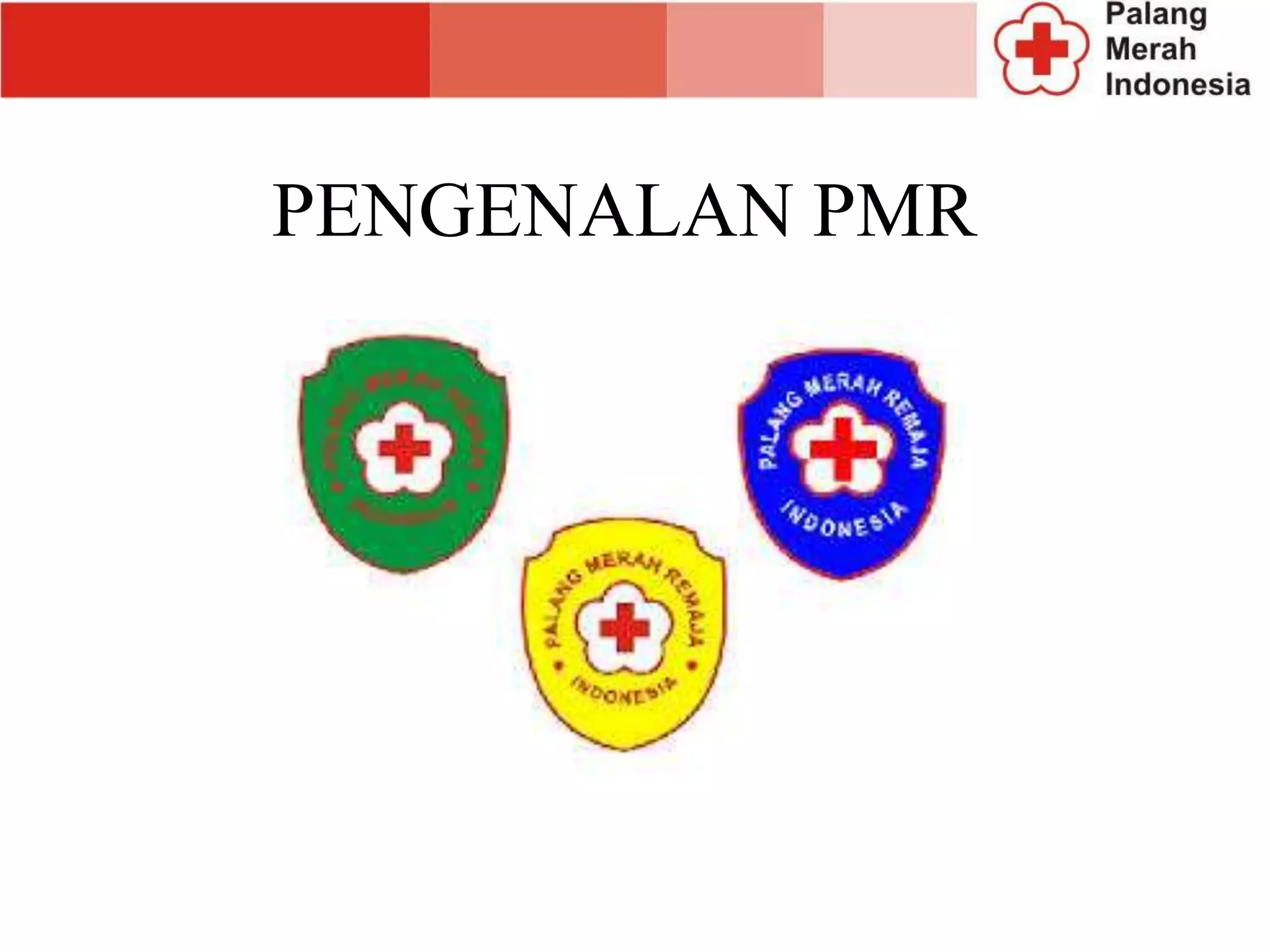 Pengenalan PMR.ppt