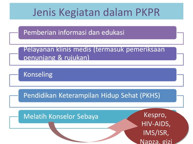 Pengenalan program kesehatan anak usia sekolah dan remaja kemenkes | PPT
