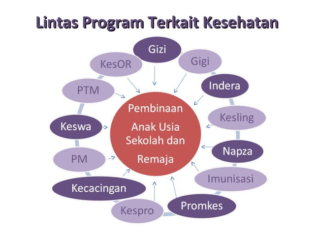 Pengenalan program kesehatan anak usia sekolah dan remaja kemenkes | PPT