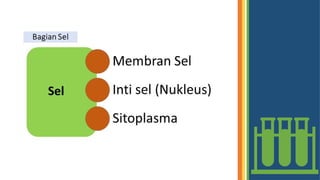 Pengenalan_Sel.pptx sel tumbuhan dan sel hewan perbedaan | PPTX