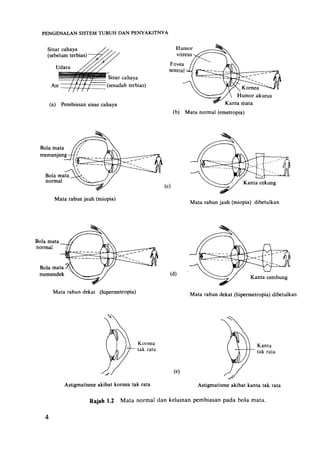Pengenalan sistem tubuh dan penyakitnya | PDF