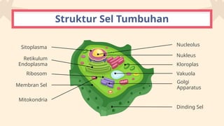 MENGENAL SEL HEWAN DAN SEL TUMBUHAN.pptx