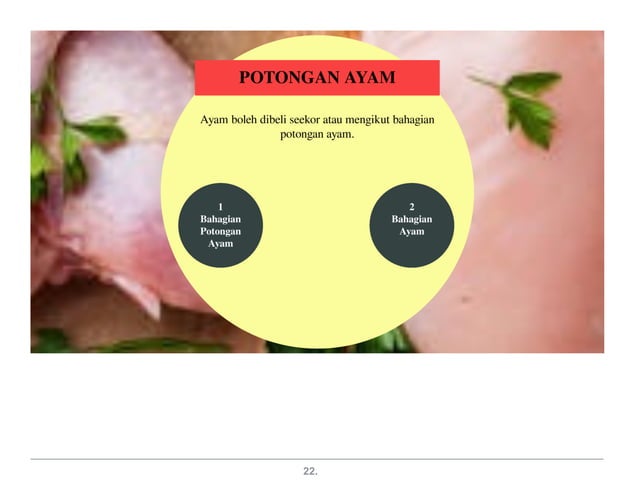 PENGENALAN TENTANG AYAM | PDF