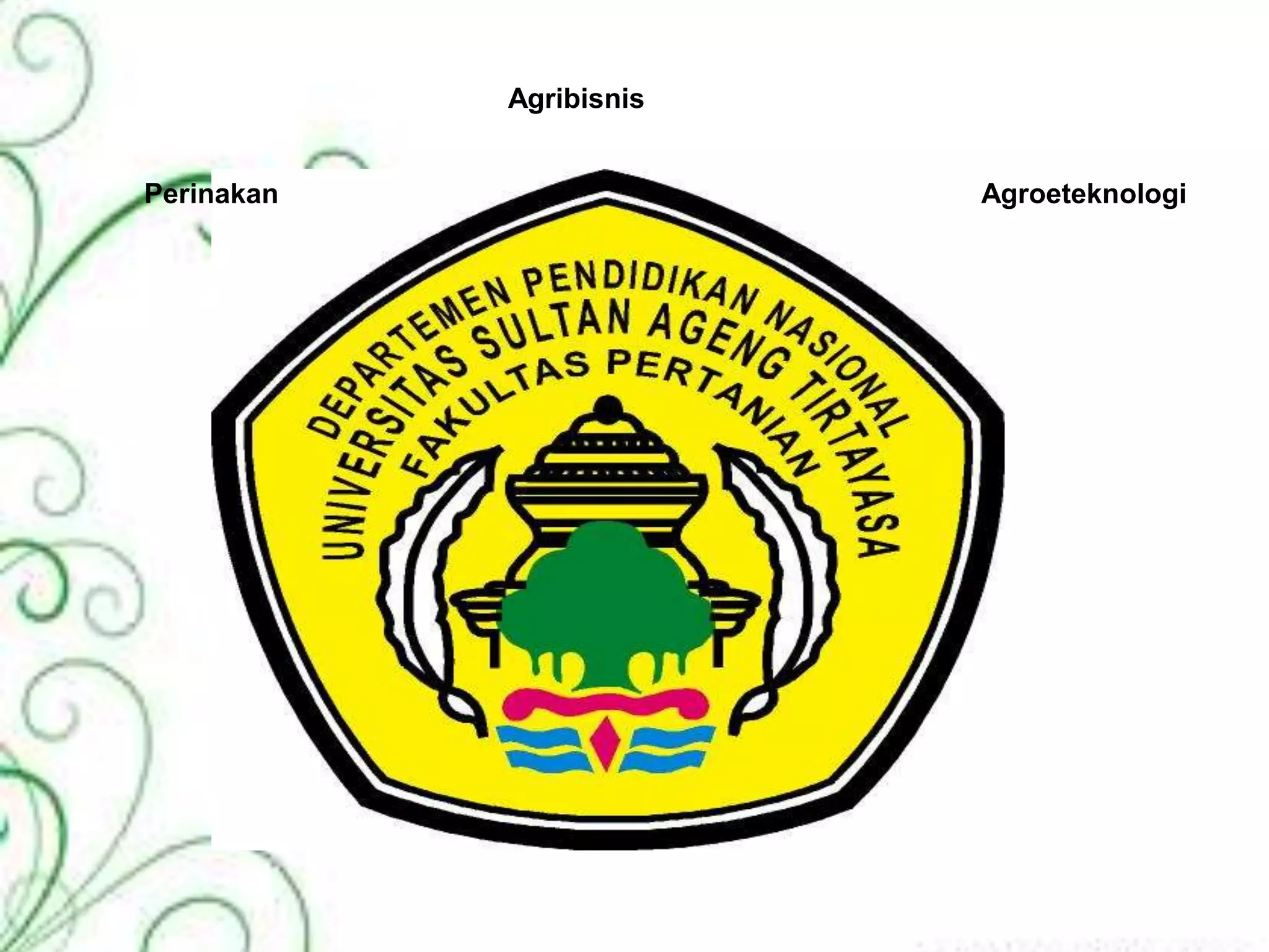 Pengenalan Untirta.pptx