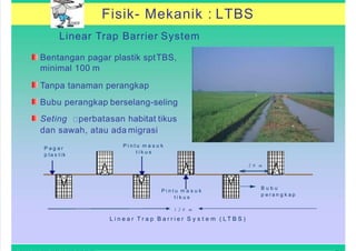 Pengendalian tikus-sawah | PPTX