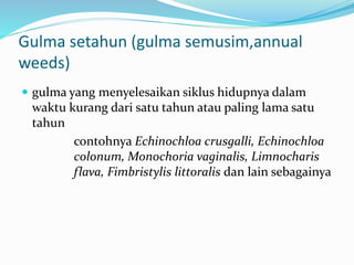 Pengendalian Gulma | PPTX