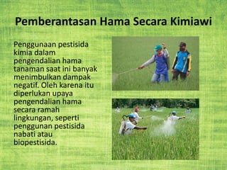 Pengendalian hama | PPTX