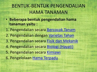 Pengendalian hama | PPTX
