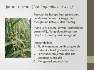 PENGENDALIAN HAMA (PROJEK PENGUATAN P3).pptx