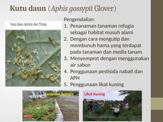 PENGENDALIAN HAMA (PROJEK PENGUATAN P3).pptx