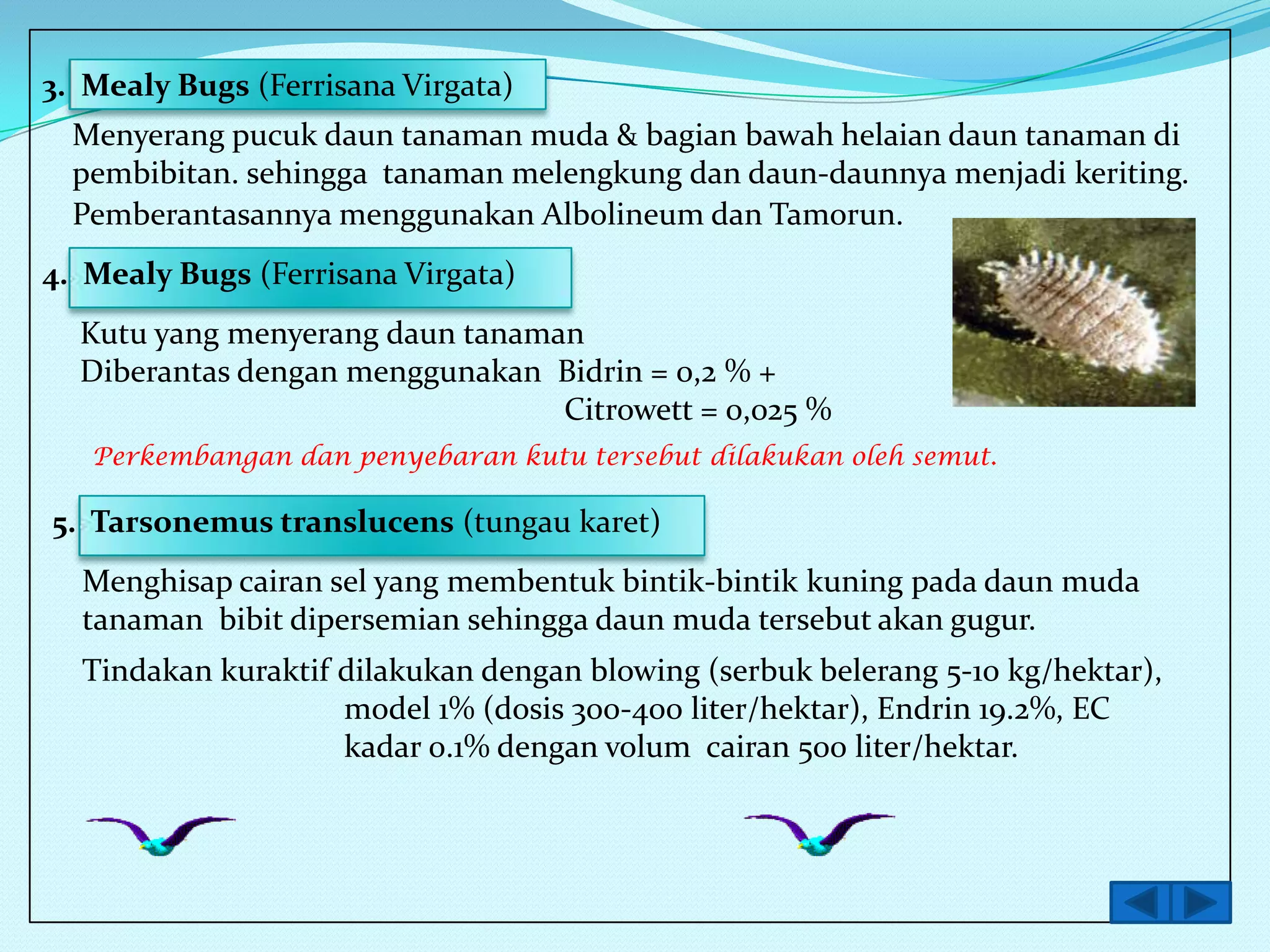 Pengendalian hama dan penyakit pada tanaman karet | PPTX