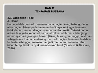 PENGENDALIAN HAMA DAN PENYAKIT PADA TANAMAN KELAPA SAWIT.pptx
