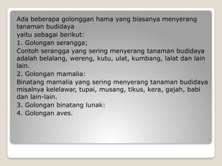 PENGENDALIAN HAMA DAN PENYAKIT PADA TANAMAN KELAPA SAWIT.pptx