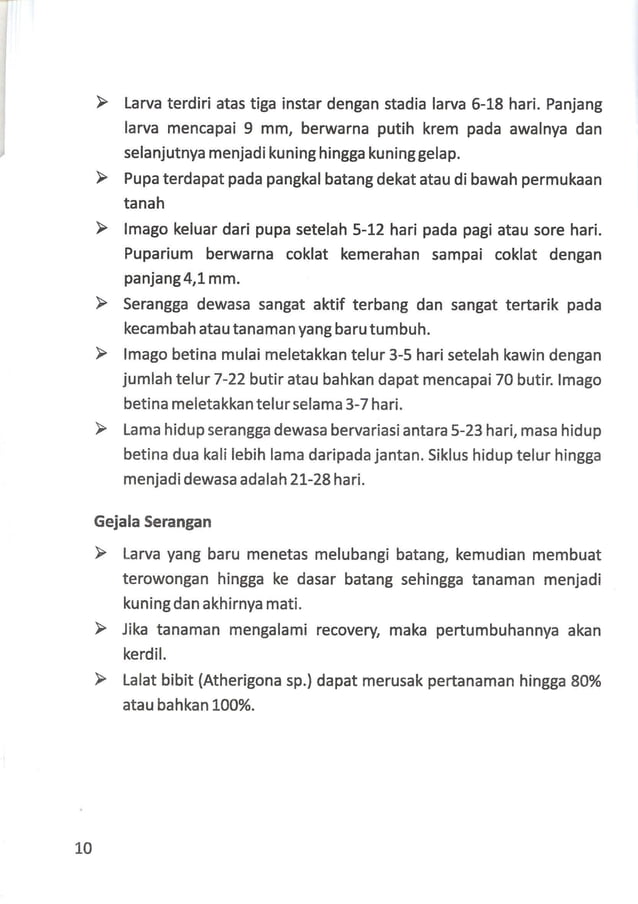 Pengendalian hama dan penyakit penting pada tanaman jagung | PDF