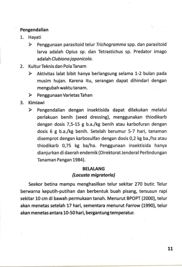Pengendalian hama dan penyakit penting pada tanaman jagung | PDF