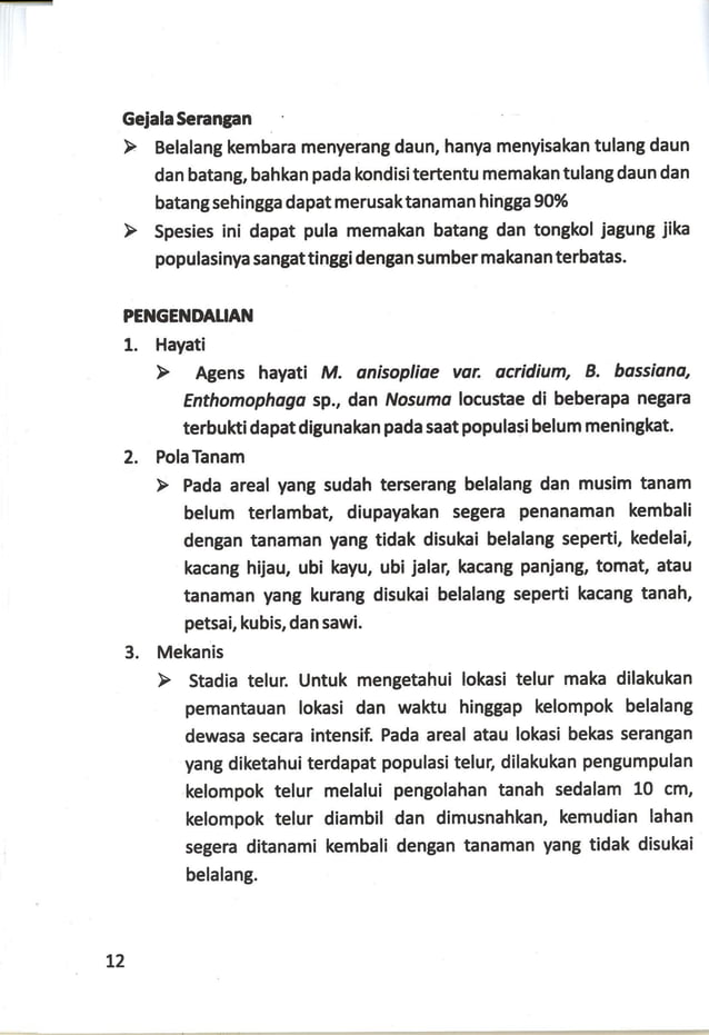 Pengendalian hama dan penyakit penting pada tanaman jagung | PDF