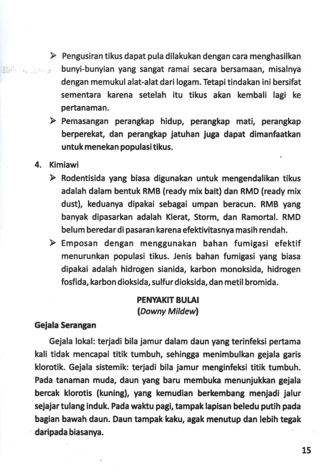 Pengendalian hama dan penyakit penting pada tanaman jagung | PDF