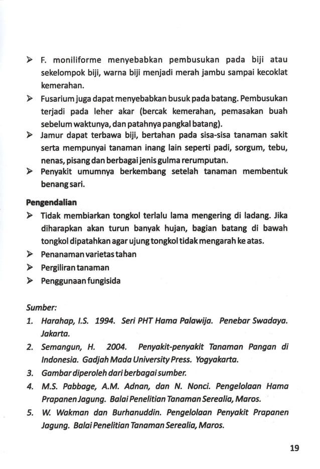 Pengendalian hama dan penyakit penting pada tanaman jagung | PDF