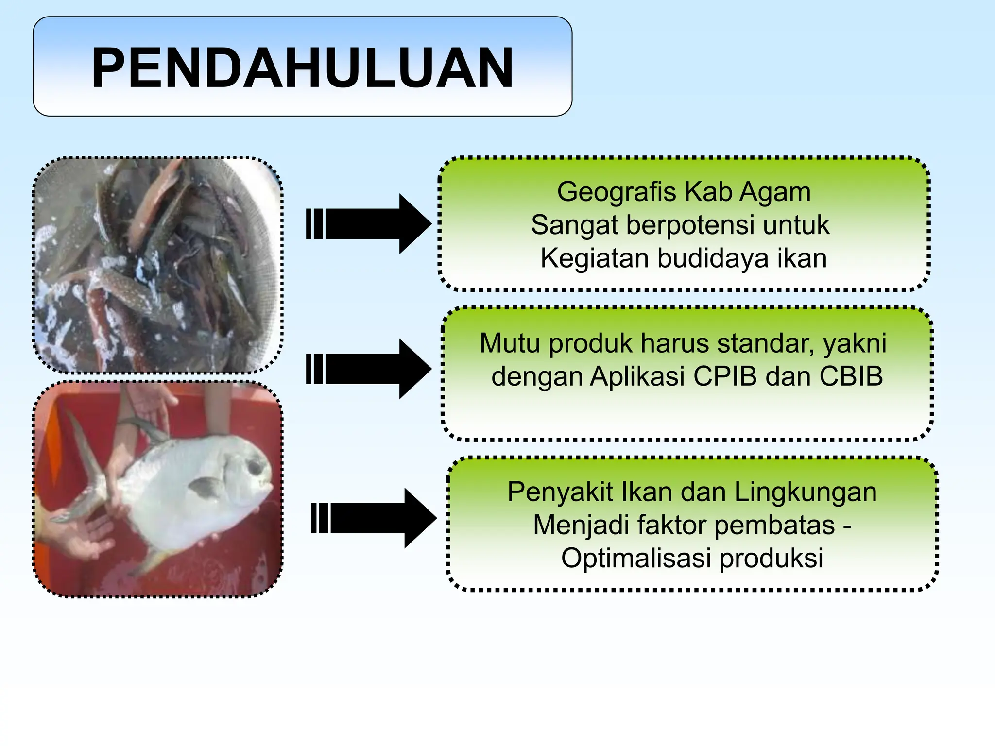 pengendalian hama penyakit untuk ikan .ppt