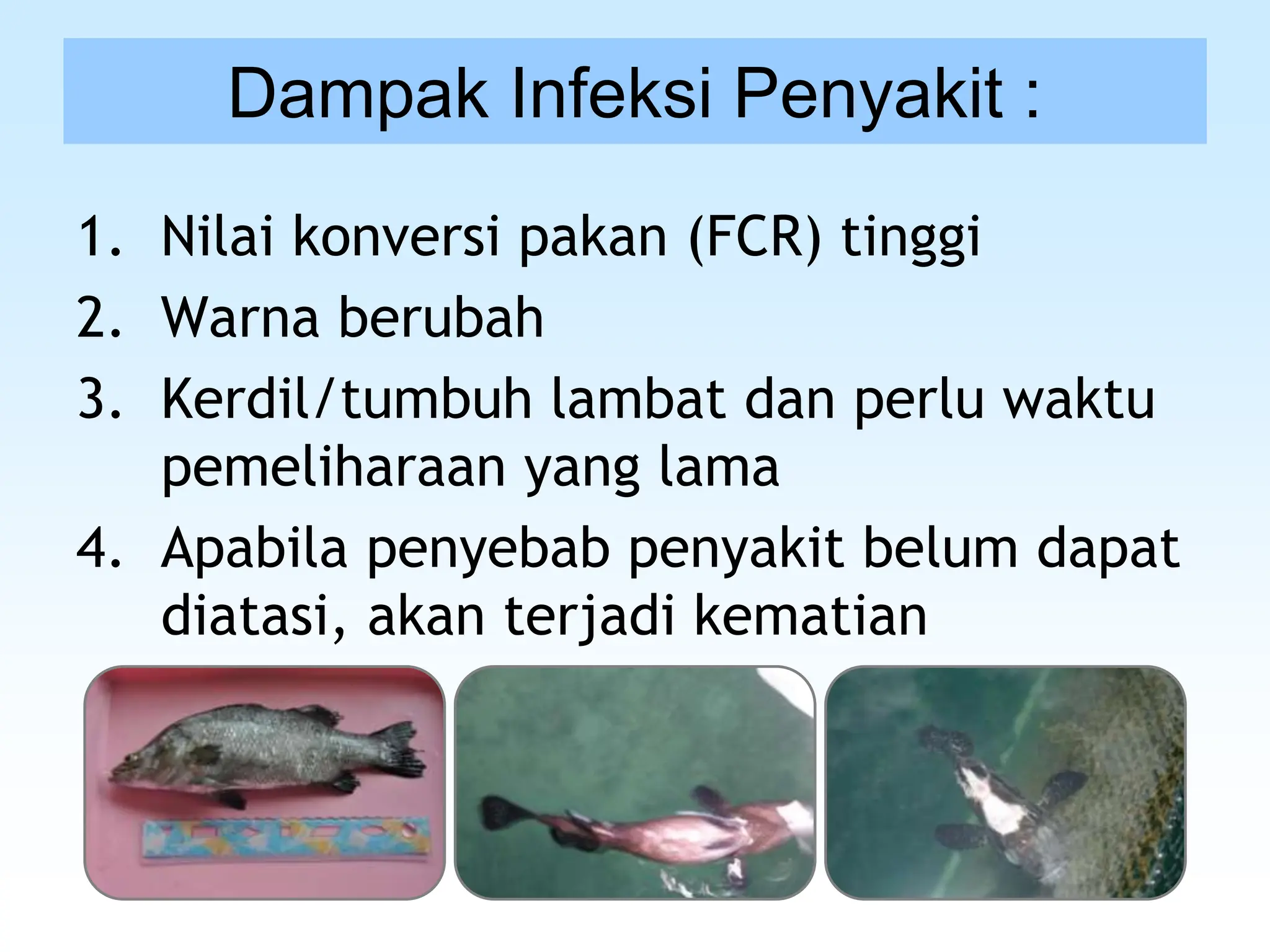 pengendalian hama penyakit untuk ikan .ppt