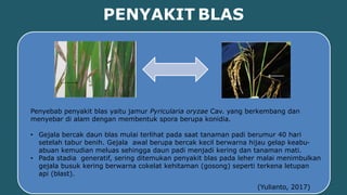 Pengendalian Hama Penyakit Padi Secara Organik.pptx