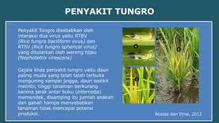 Pengendalian Hama Penyakit Padi Secara Organik.pptx
