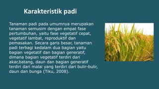 Pengendalian Hama Penyakit Padi Secara Organik.pptx