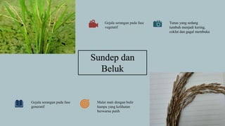Pengendalian Hama Penyakit Padi Secara Organik.pptx
