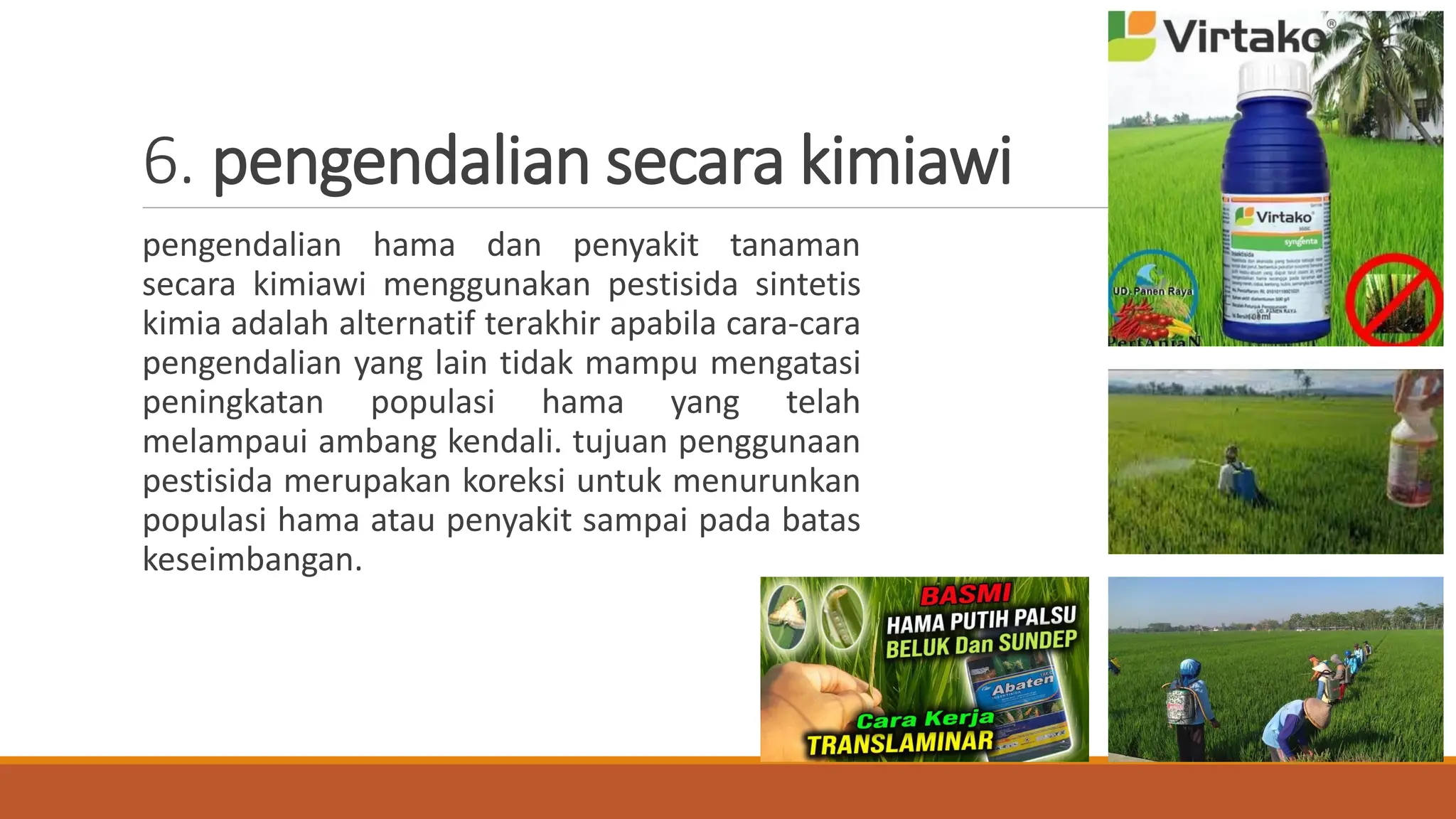 PENGENDALIAN HAMA TERPADU (PHT) pada tanaman padi | PDF