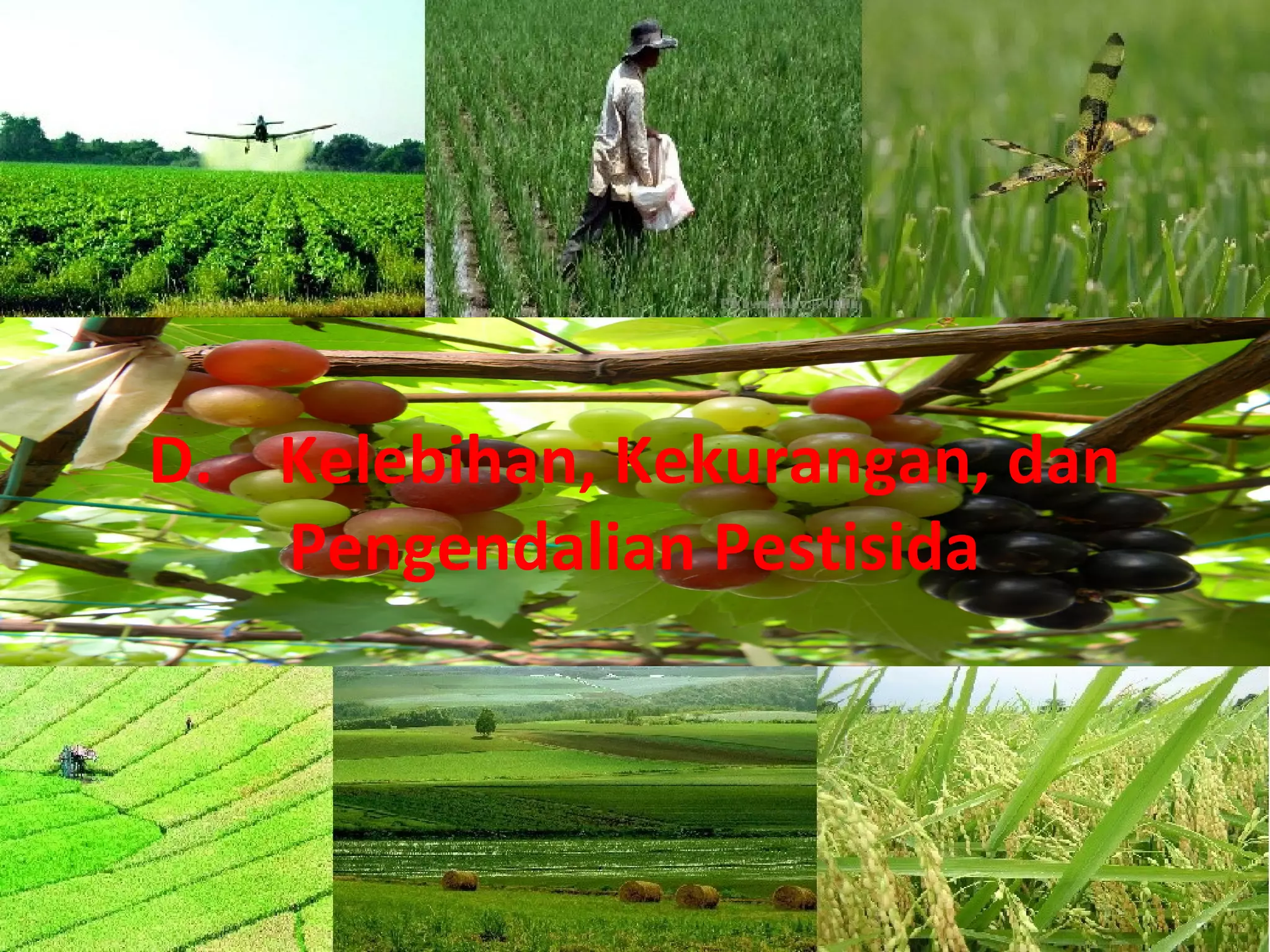 Pengendalian OPT secara kimiawi | PPT