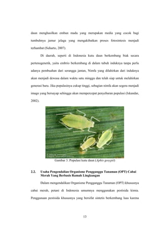 Pengendalian Organisme Pengganggu Tanaman (OPT) Berbasis Ramah ...
