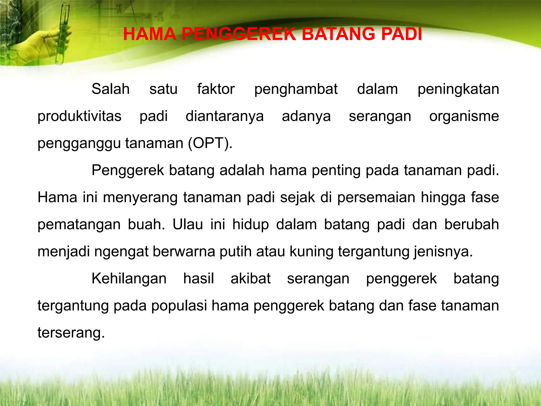 PENGENDALIAN PENGGEREK BATANG PADI SAWAH.pptx