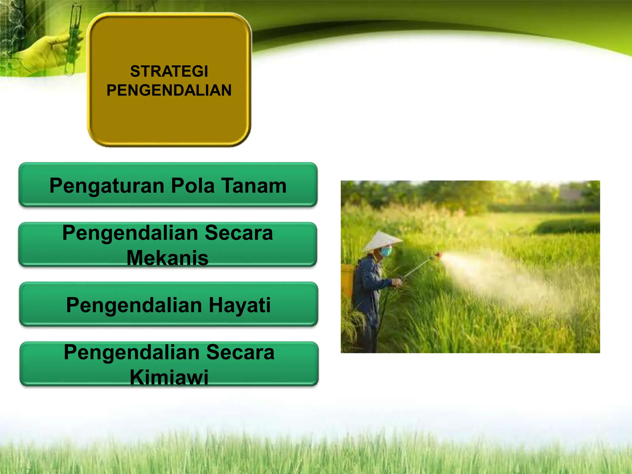 PENGENDALIAN PENGGEREK BATANG PADI SAWAH.pptx