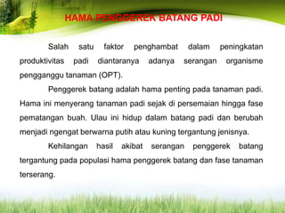 PENGENDALIAN PENGGEREK BATANG PADI SAWAH.pptx