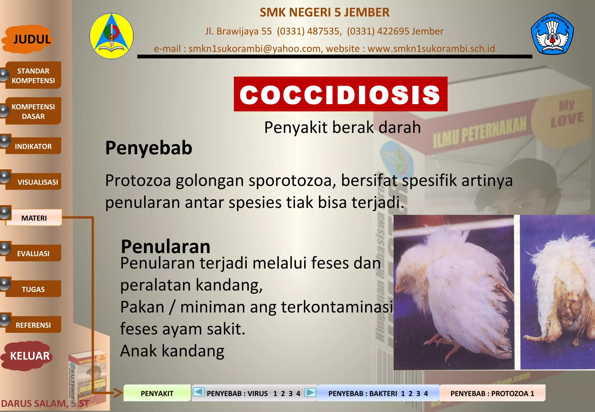 Penyakit Ayam Broiler | PPS